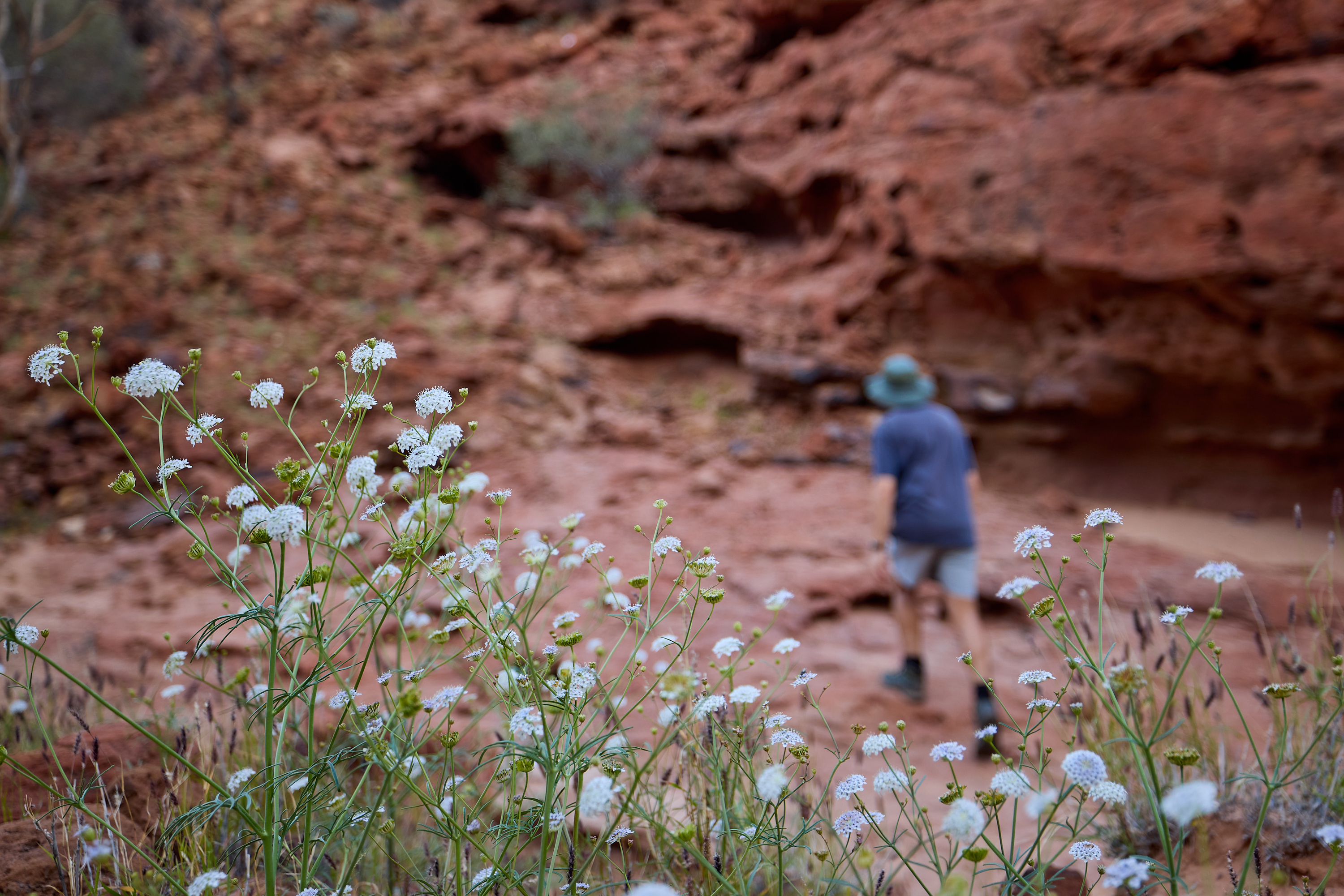 Top Hikes & Trails in Australia's Golden… | Australia's Golden Outback