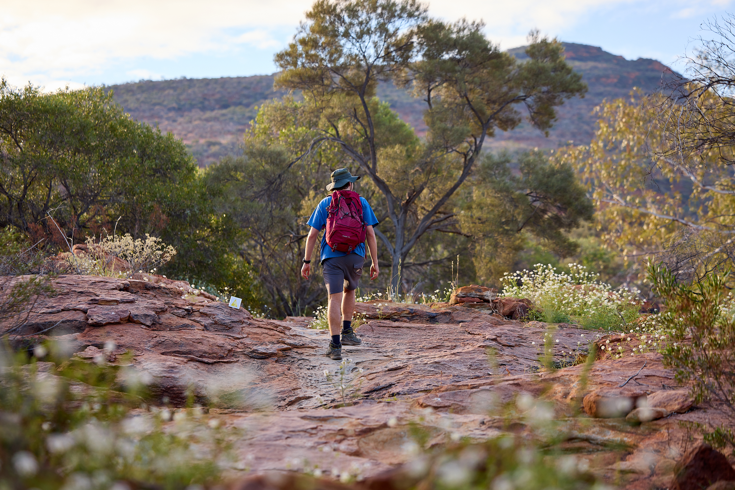 Top Hikes & Trails in Australia's Golden… | Australia's Golden Outback