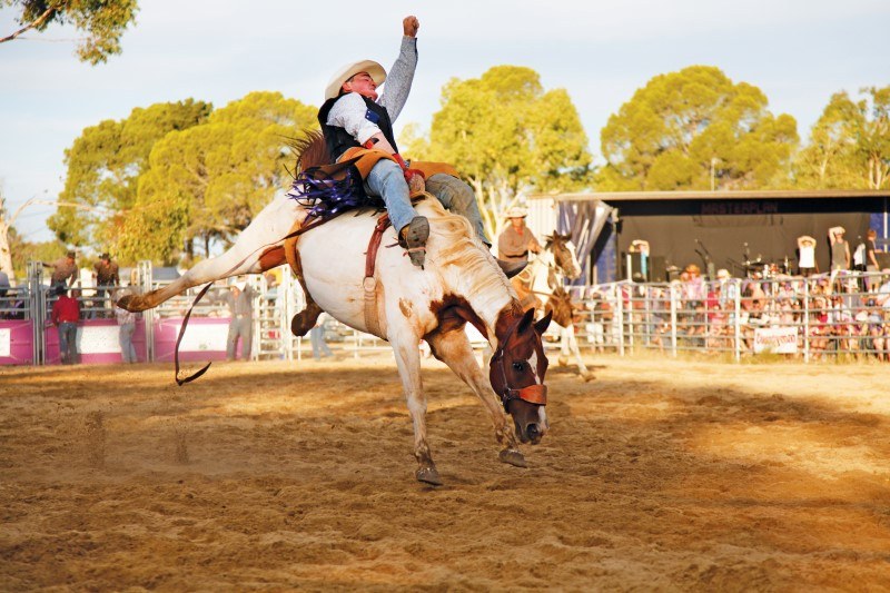 TransWA | Coaches WA | Prospector Train Kalgoorlie | Australia's…