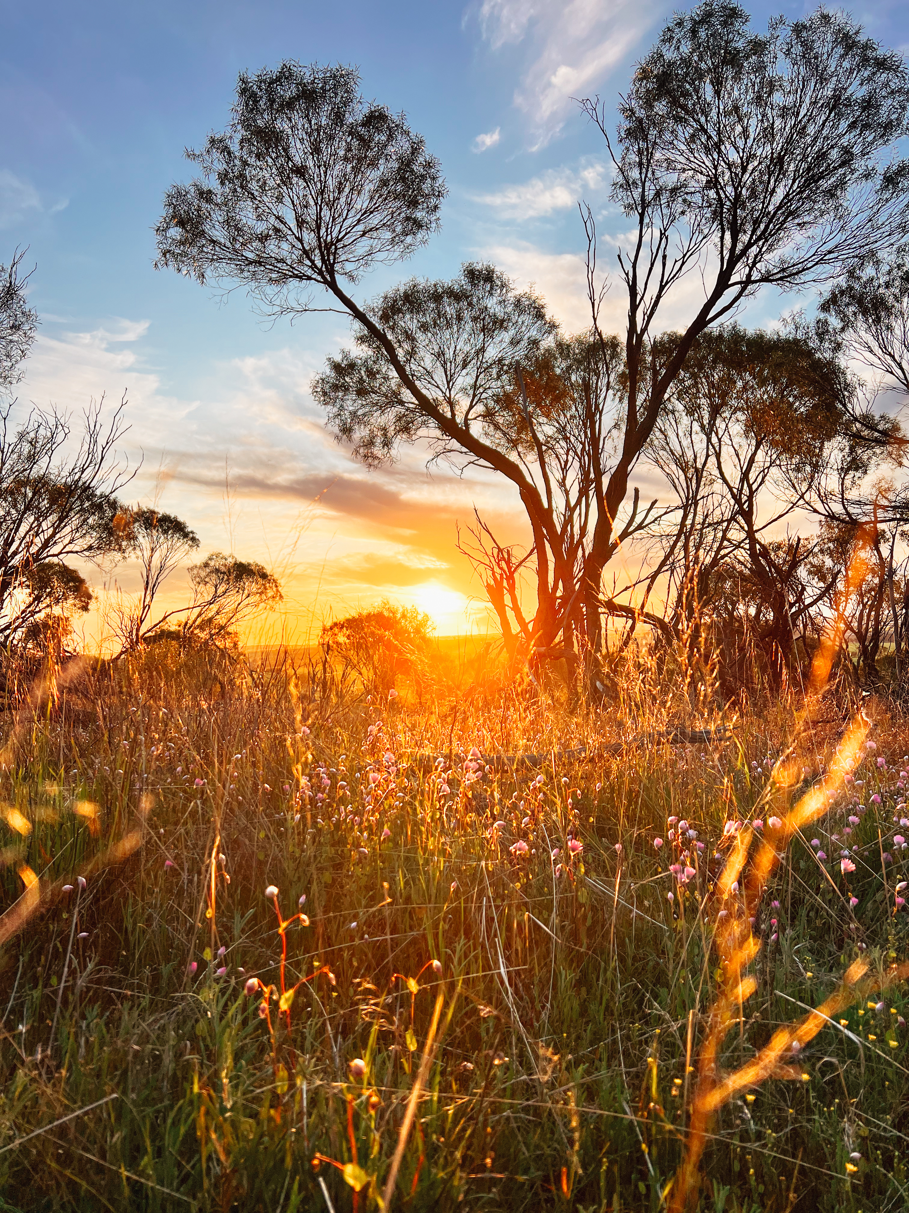 Cunderdin | Australia's Golden Outback