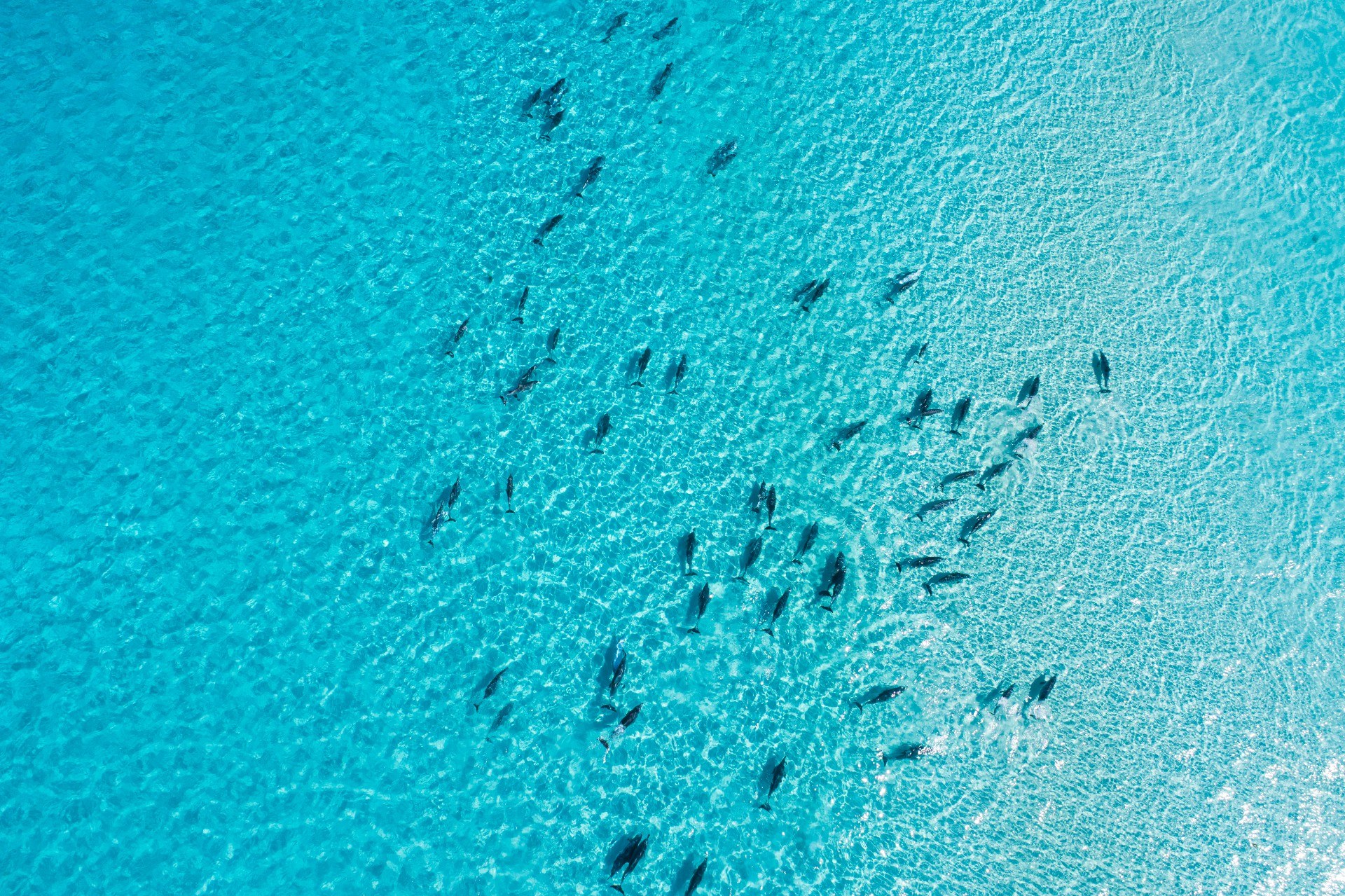 Search | Australia's Golden Outback