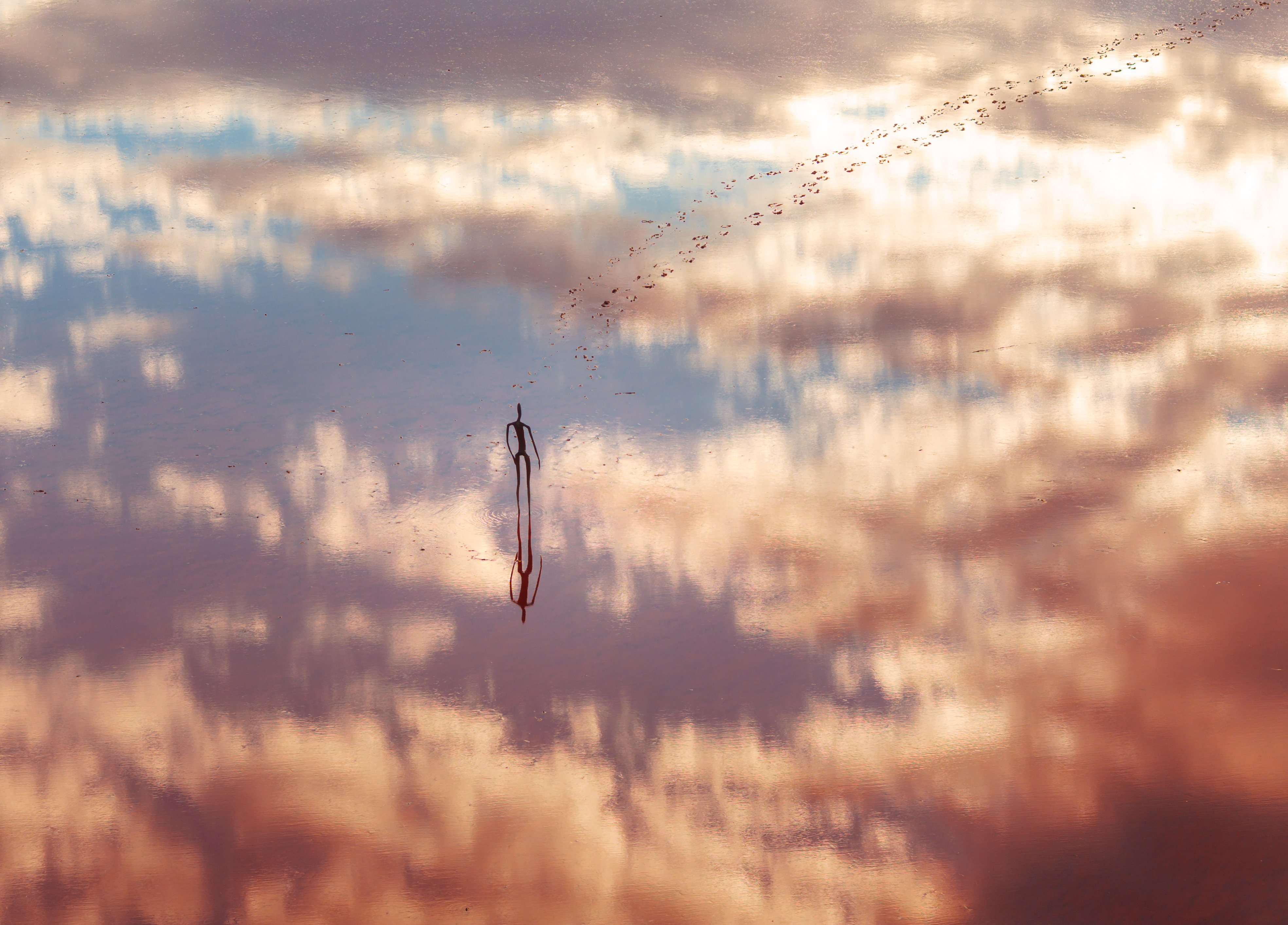 TransWA | Coaches WA | Prospector Train Kalgoorlie | Australia's…