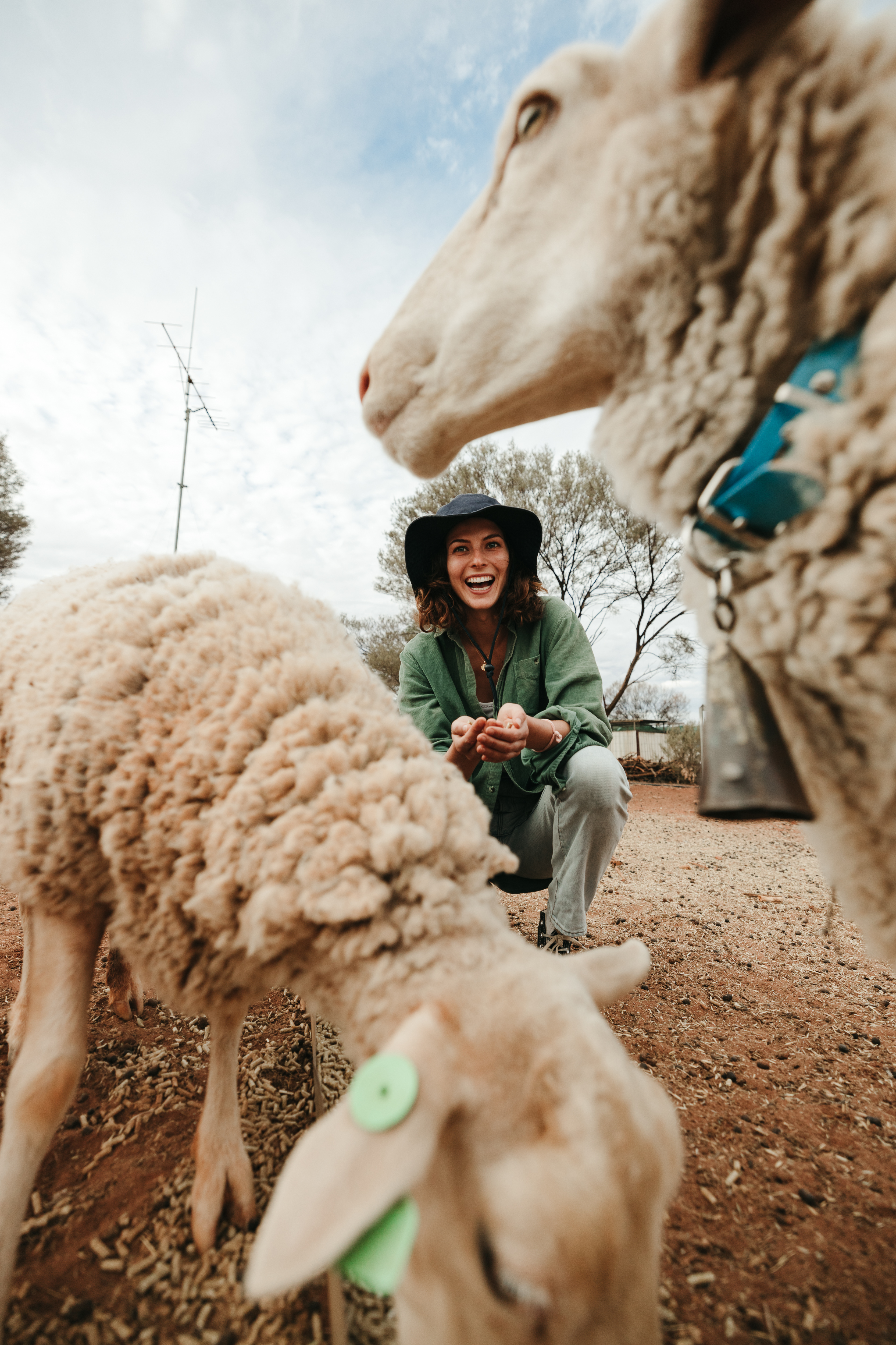 Farming and tourism | Australia's Golden Outback