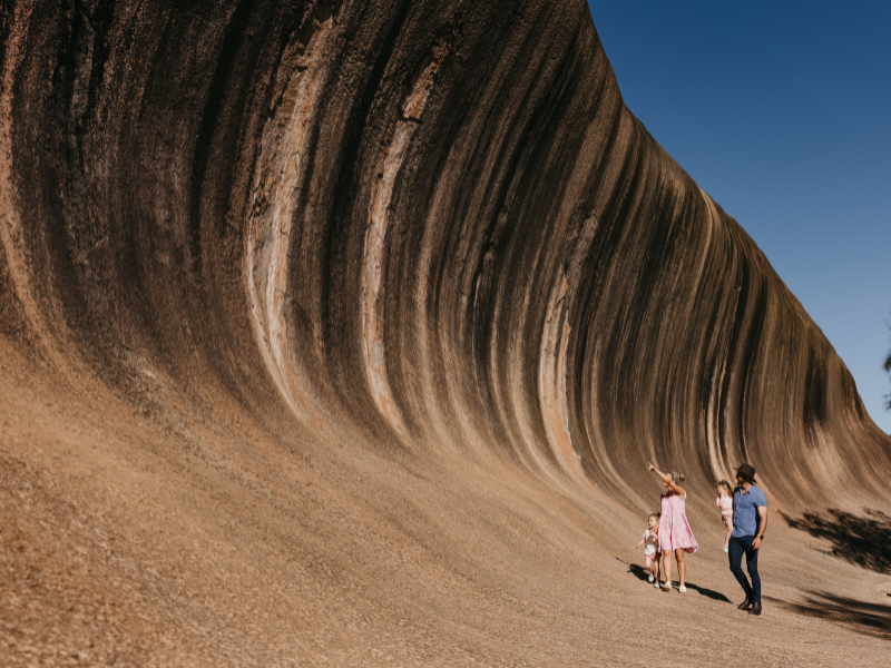 Have a Blooming Adventure in the… | Australia's Golden Outback
