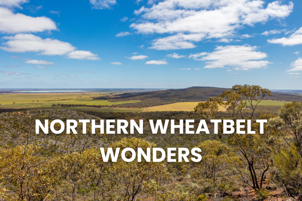 Wheatbelt Weekends | Australia's Golden Outback