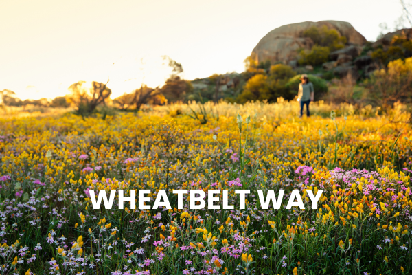 Wheatbelt Weekends | Australia's Golden Outback