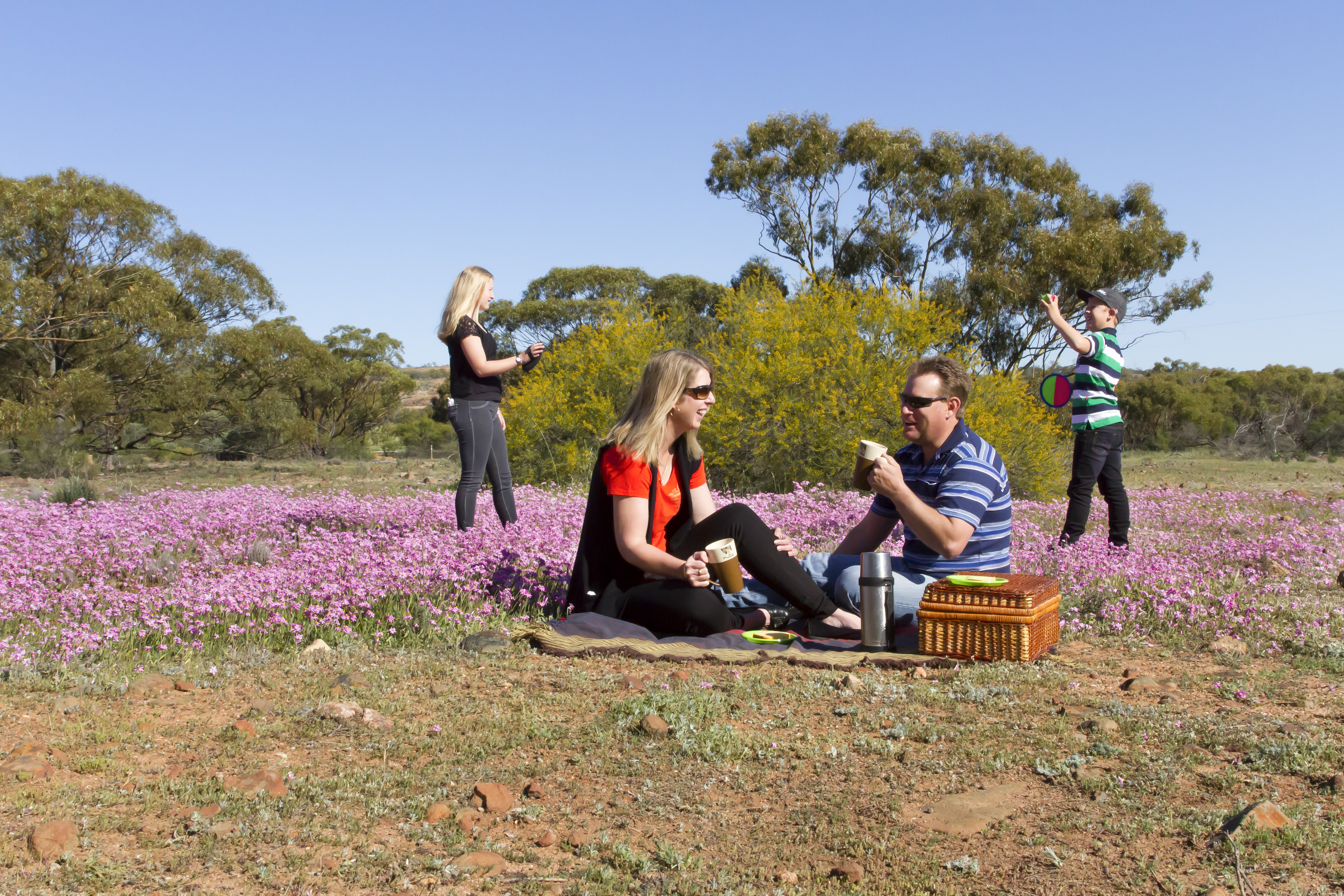Trayning | Australia's Golden Outback