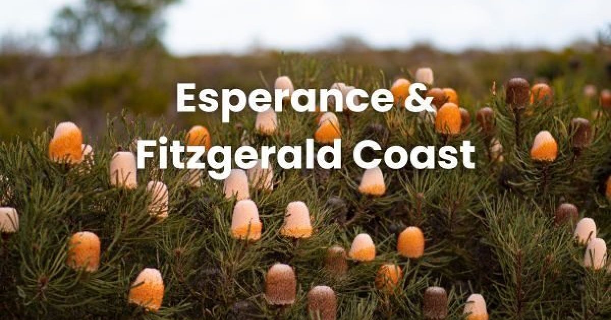 Esperance: Top Things to Do & Accommodation - Holiday Guide