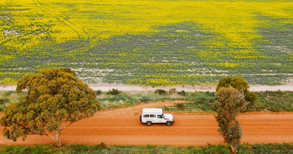 10 Best Spring Road Trips in the Golden… | Australia's Golden Outback