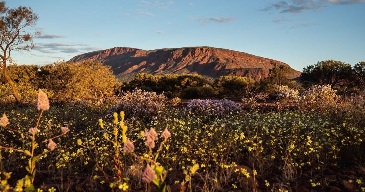 Five events to add to your bucket list | Australia's Golden Outback