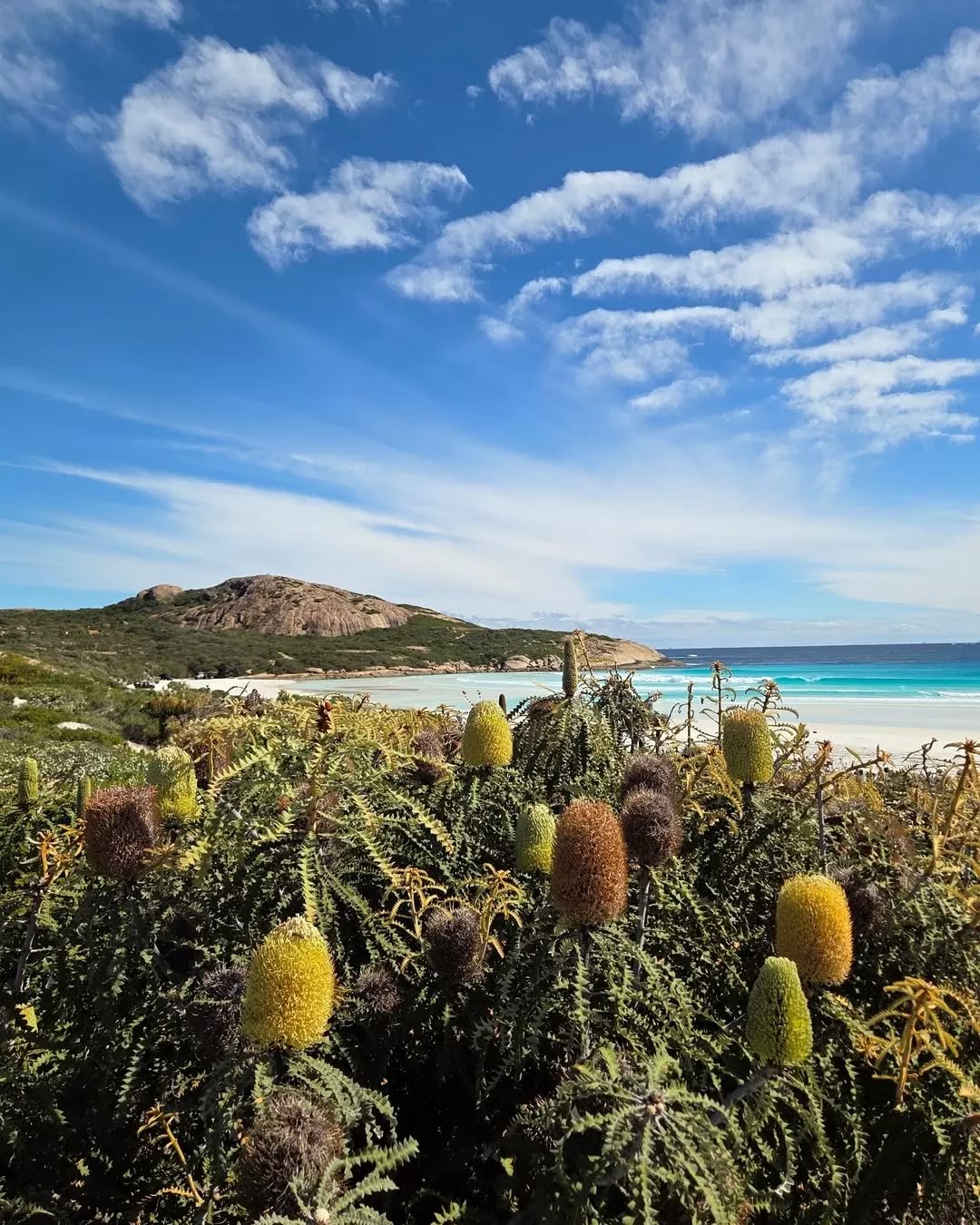 Australia's Golden Outback: Official Tourism & Travel Website