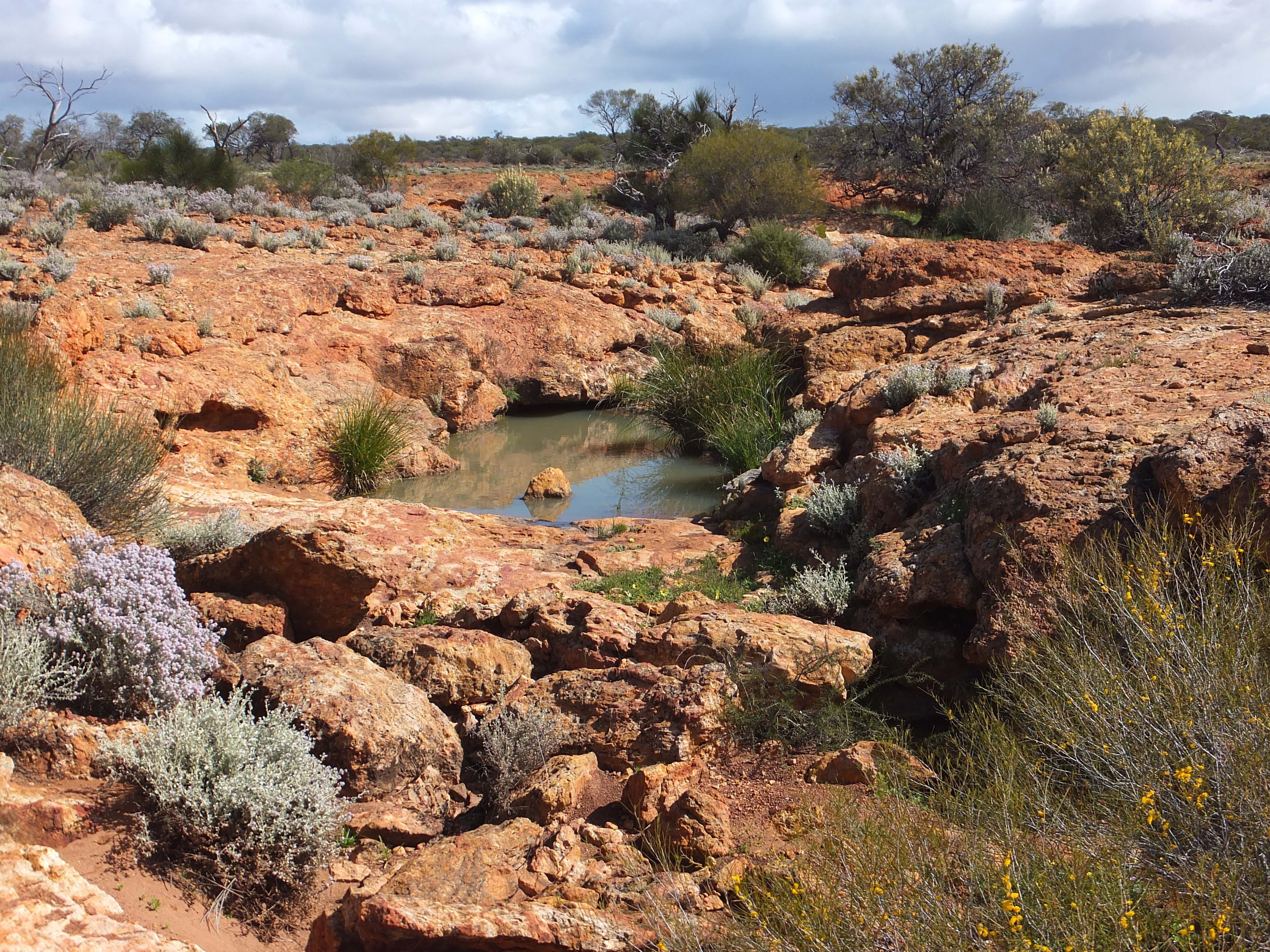 Karara Rangeland Park | Australia's Golden Outback