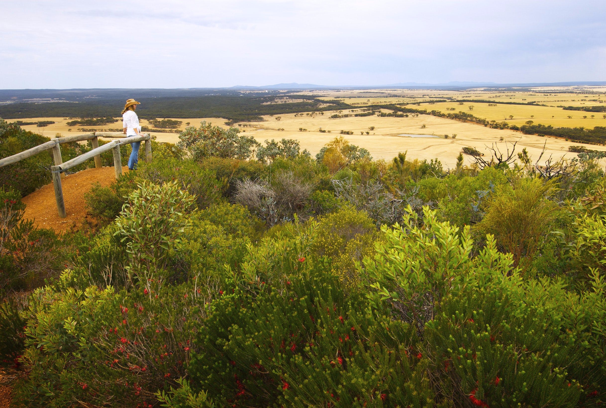 Archer Drive Scenic Drive and Lookout | Australia's Golden Outback