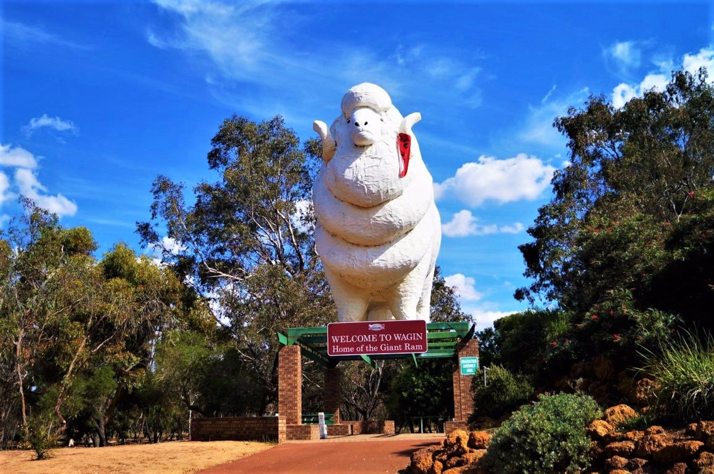 Giant Ram Park | Australia's Golden Outback