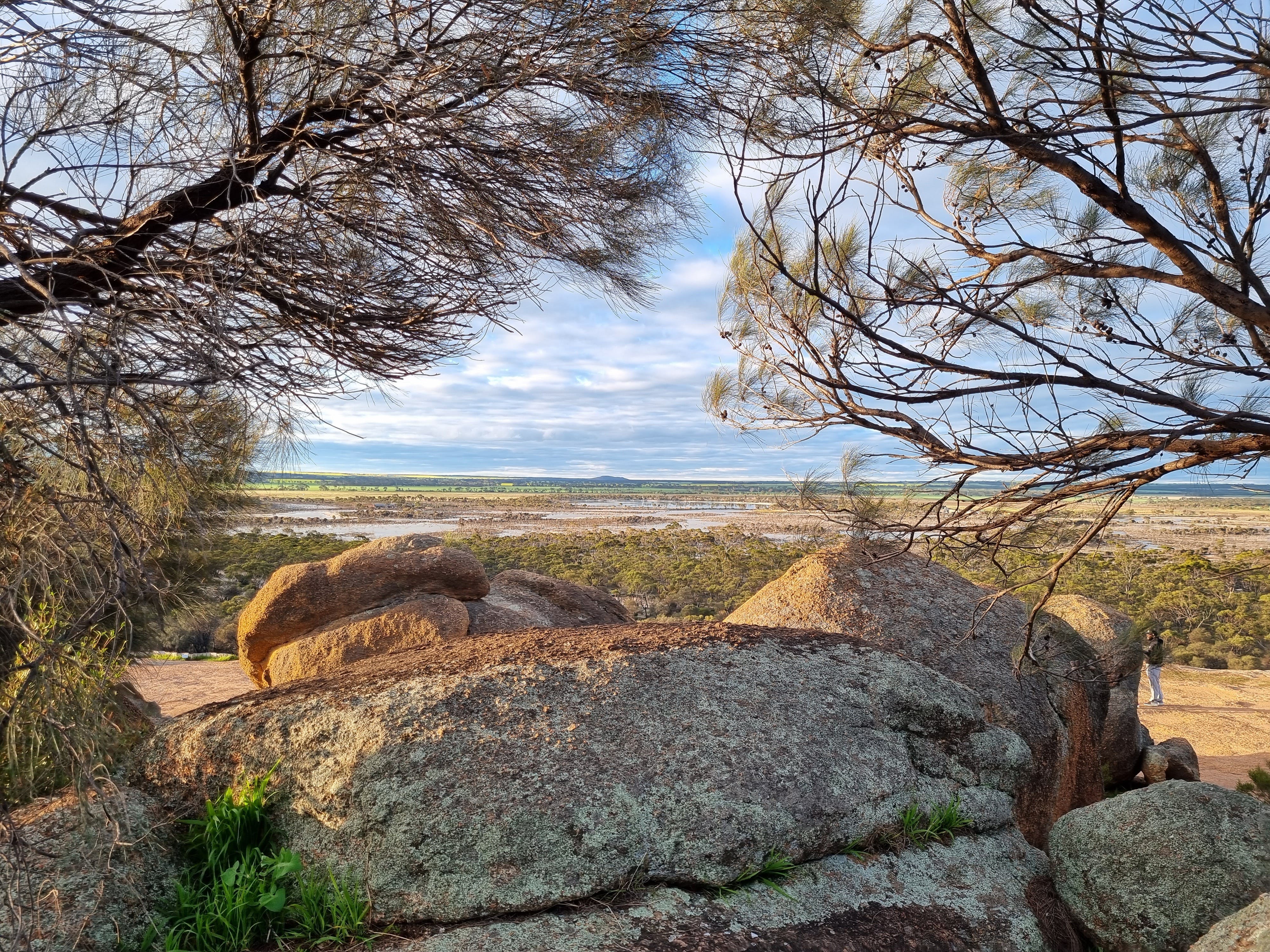 Katter Kich Gallery and Tours | Australia's Golden Outback