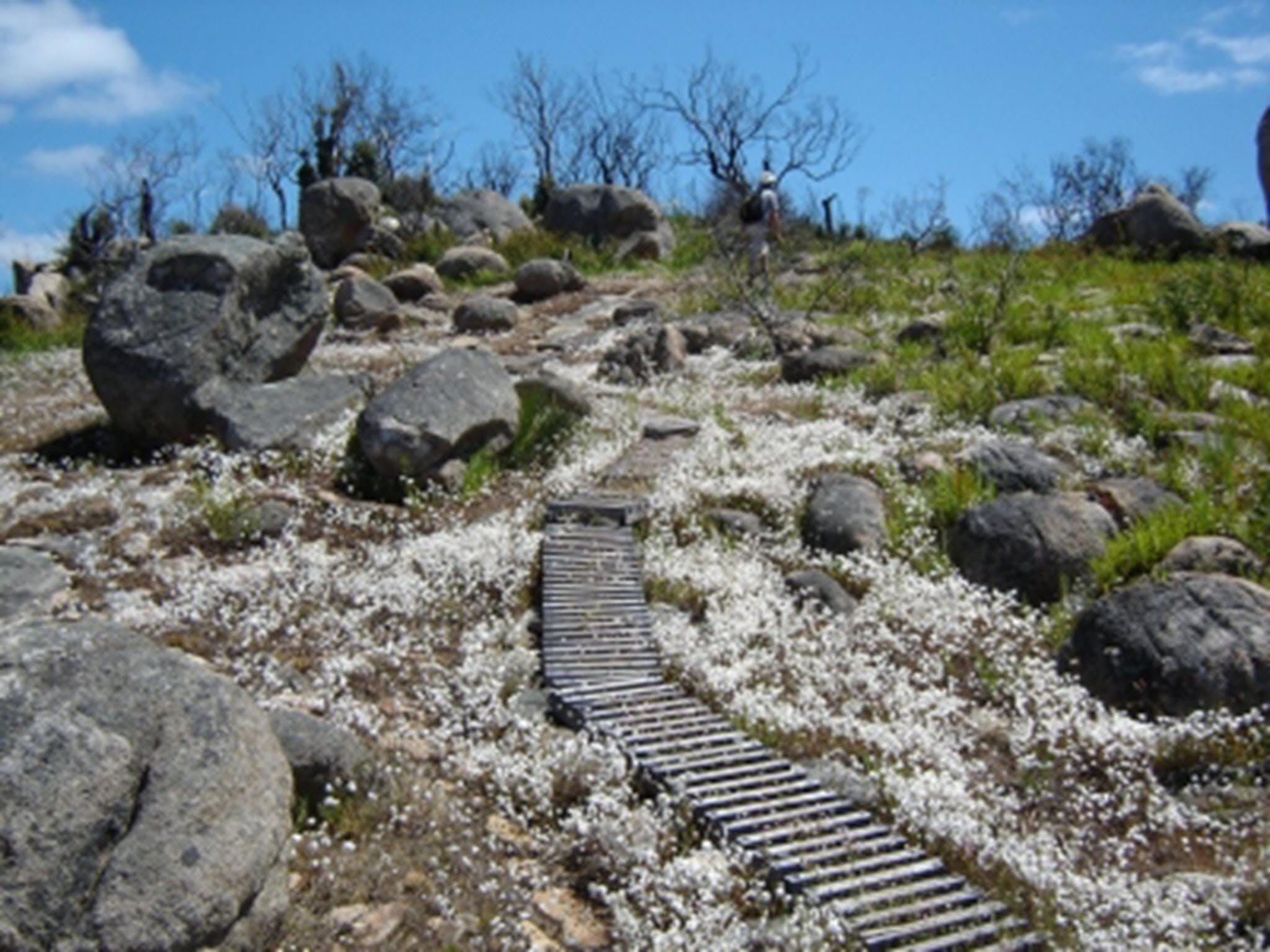 Sullivan Rock to Mt Cooke, Darling Range | Australia's Golden Outback