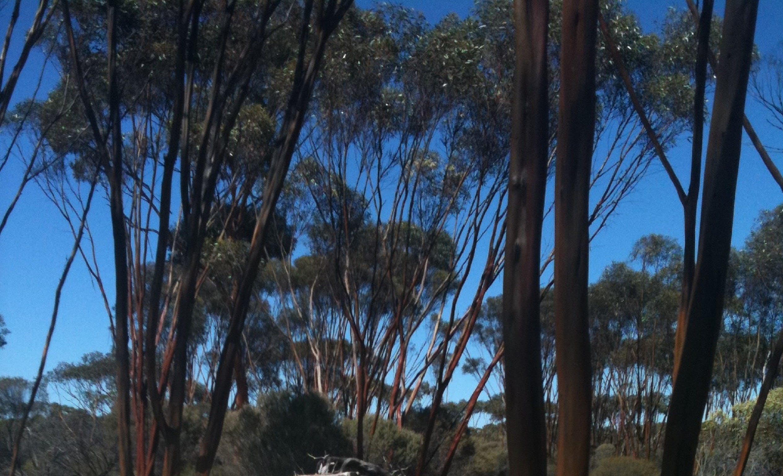 Boorabbin National Park | Australia's Golden Outback