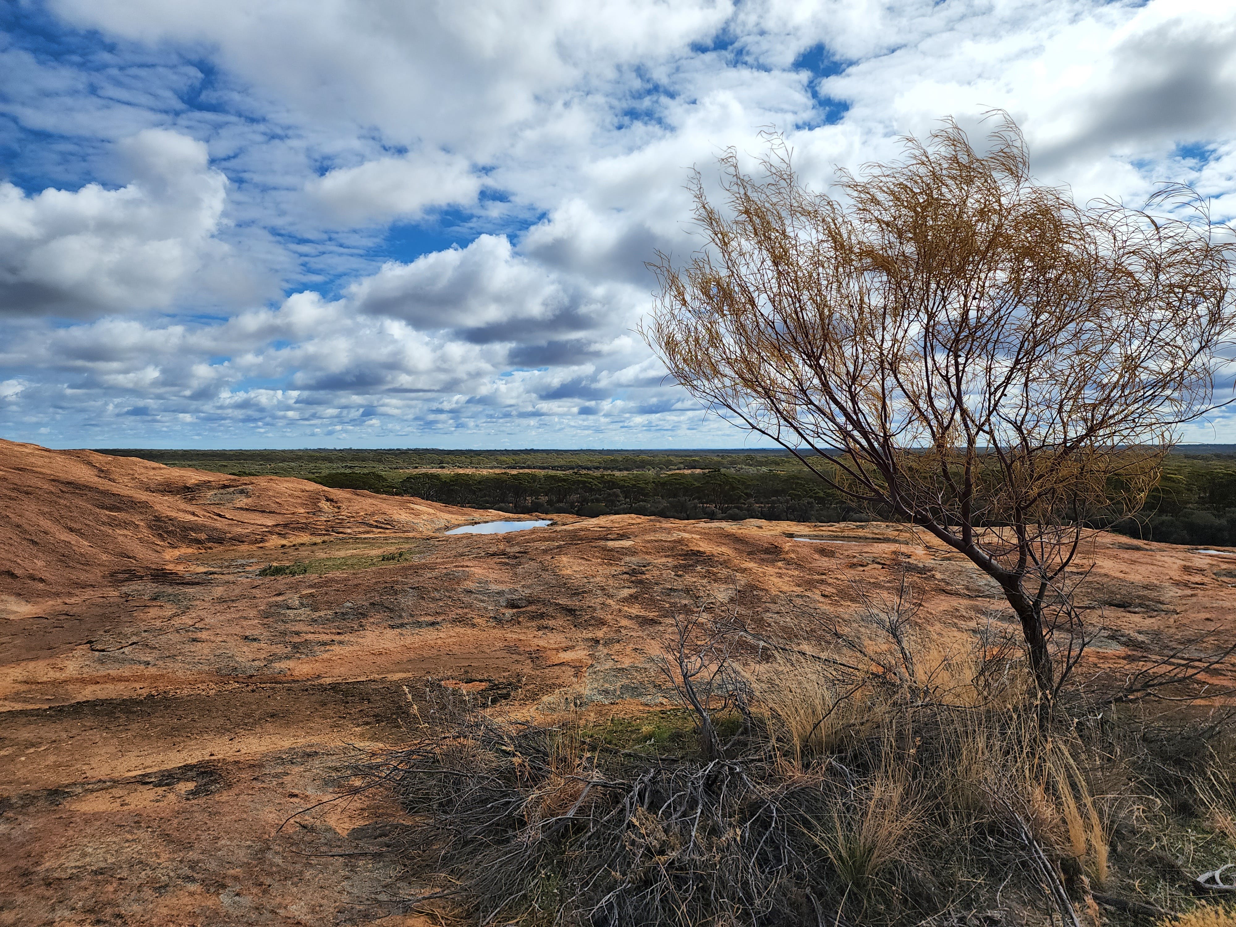 Golden Quest Discovery Trail - Start Here | Australia's Golden Outback