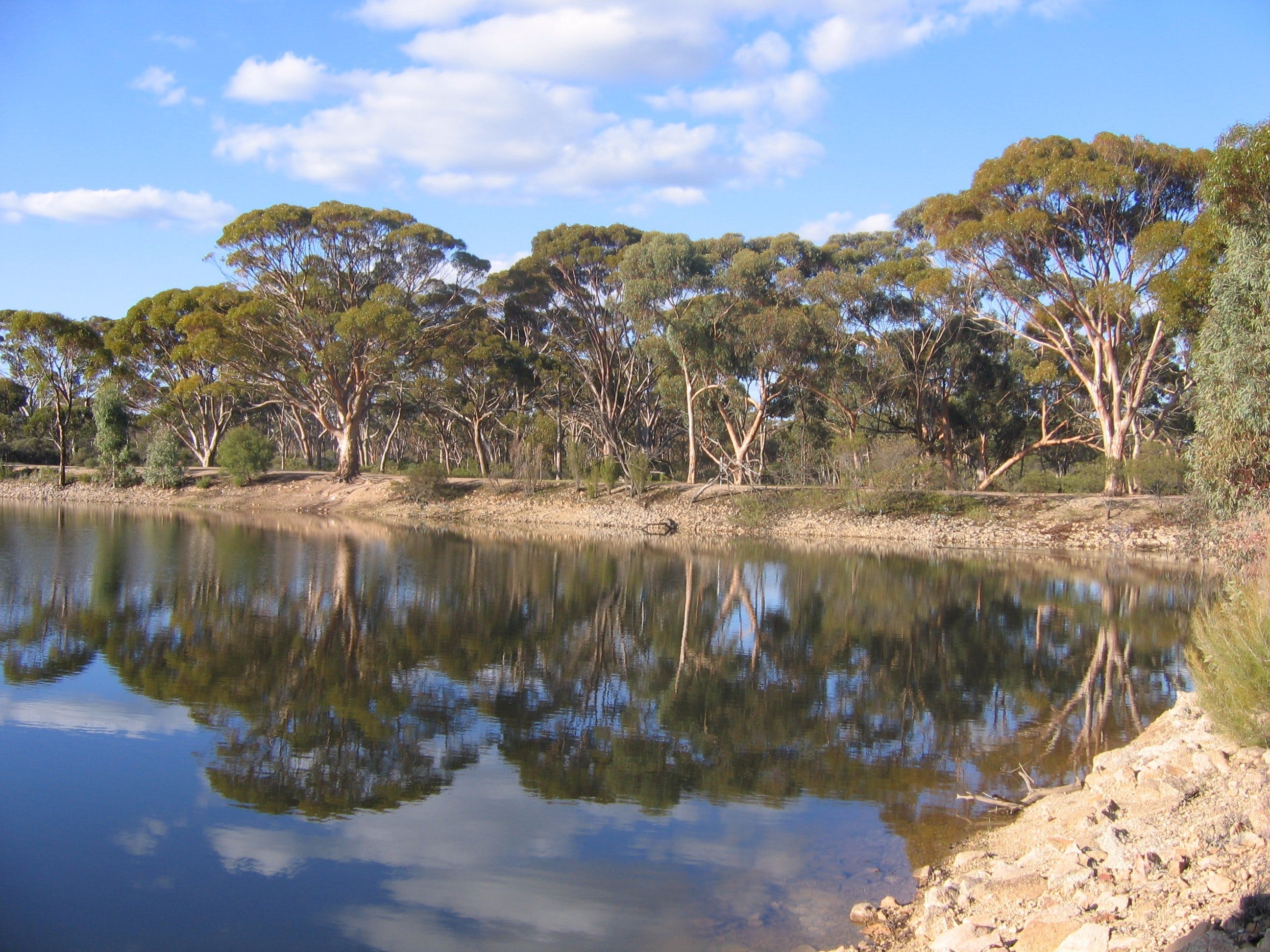 Merredin Peak Trail | Australia's Golden Outback