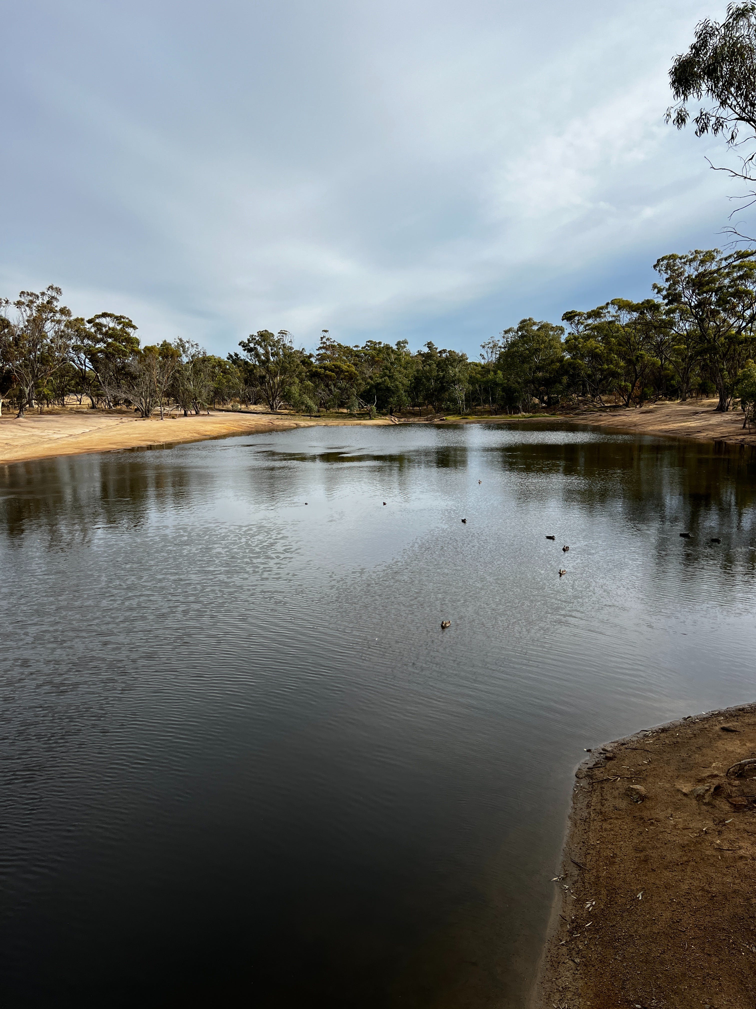 Narrogin RV Free Stay Area (Railway Dam) | Australia's Golden Outback
