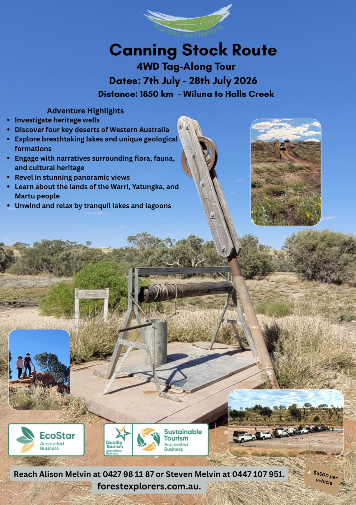 Forest Explorers | Australia's Golden Outback