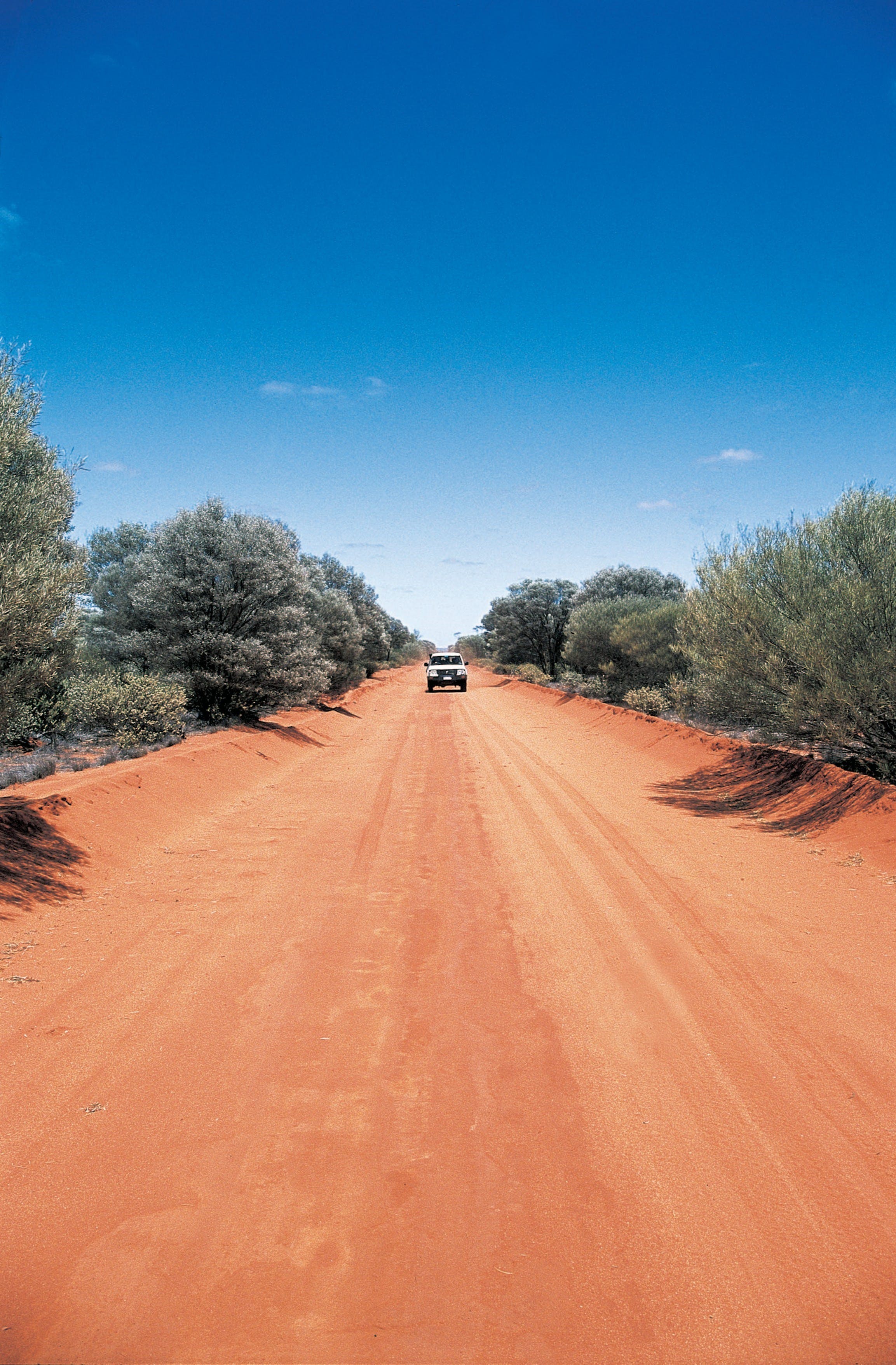 Rowles Lagoon Campground | Australia's Golden Outback