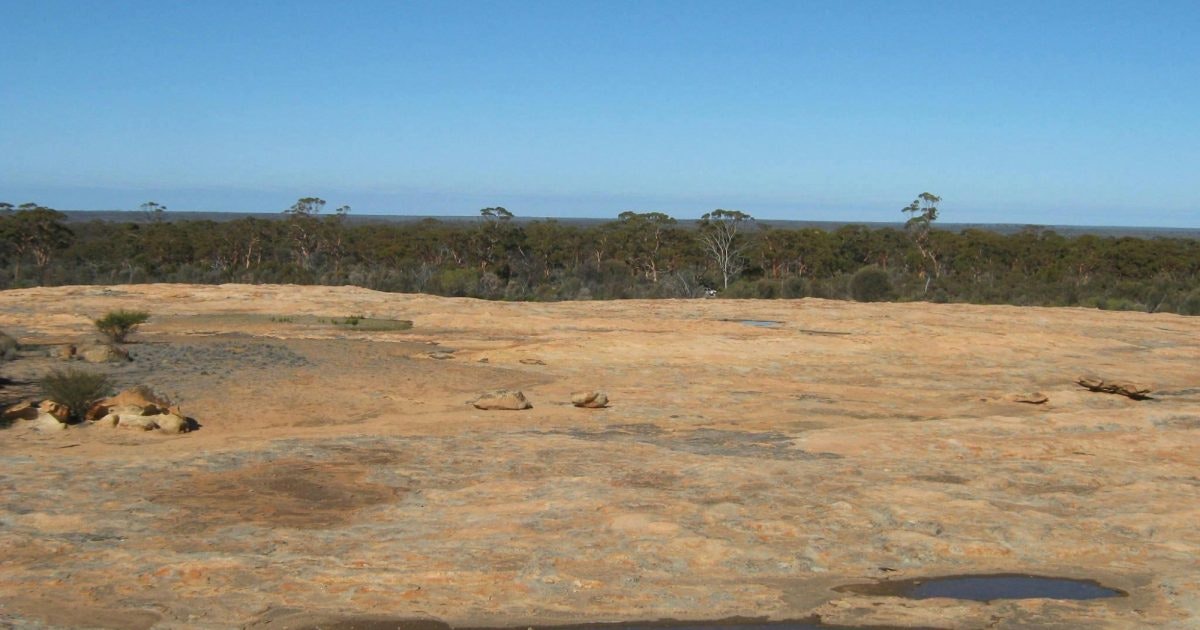 Goldfields Woodlands National Park | Australia's Golden Outback