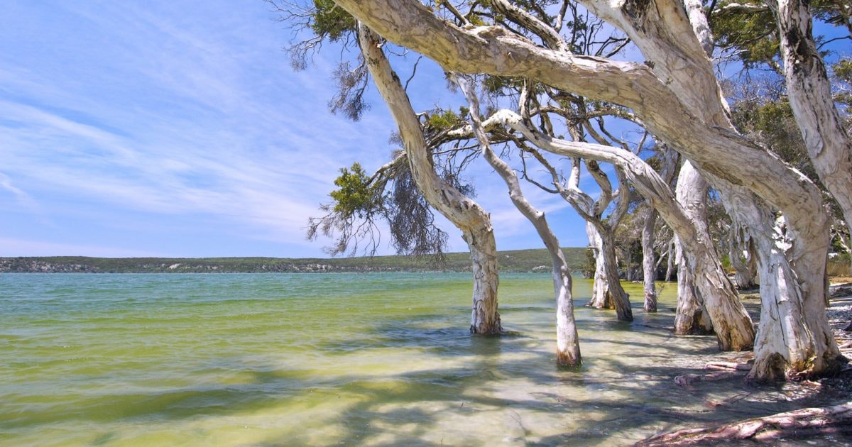 Skippy Rock Campground - Stokes National… | Australia's Golden Outback