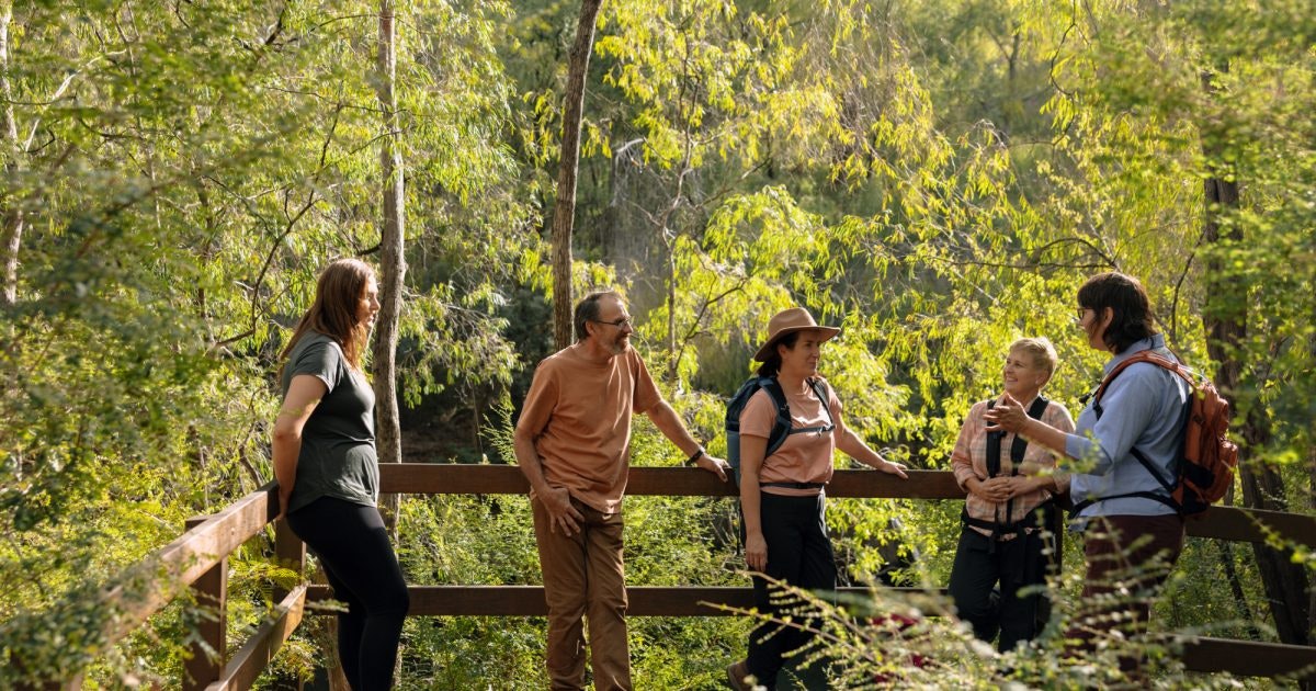 Forest Explorers | Australia's Golden Outback