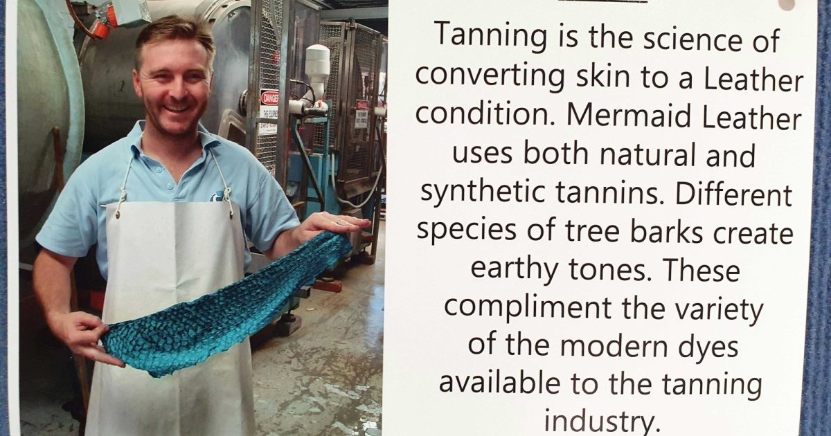 Mermaid Leather | Australia's Golden Outback