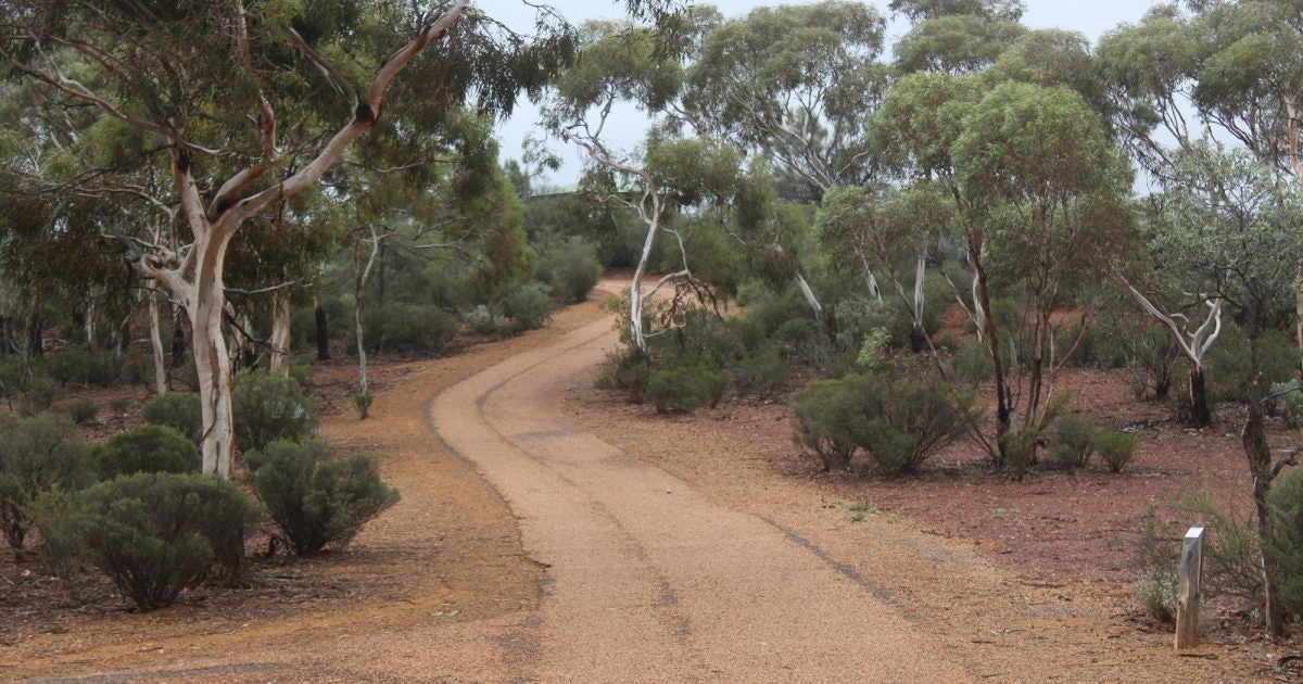 Karlkurla Bushland Park | Australia's Golden Outback