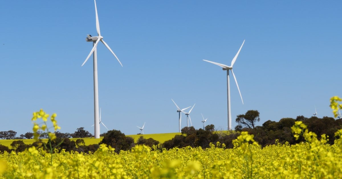 Collgar Wind Farm Merredin | Australia's Golden Outback