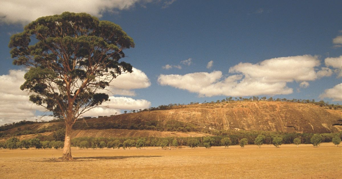 Mount Stirling | Australia's Golden Outback