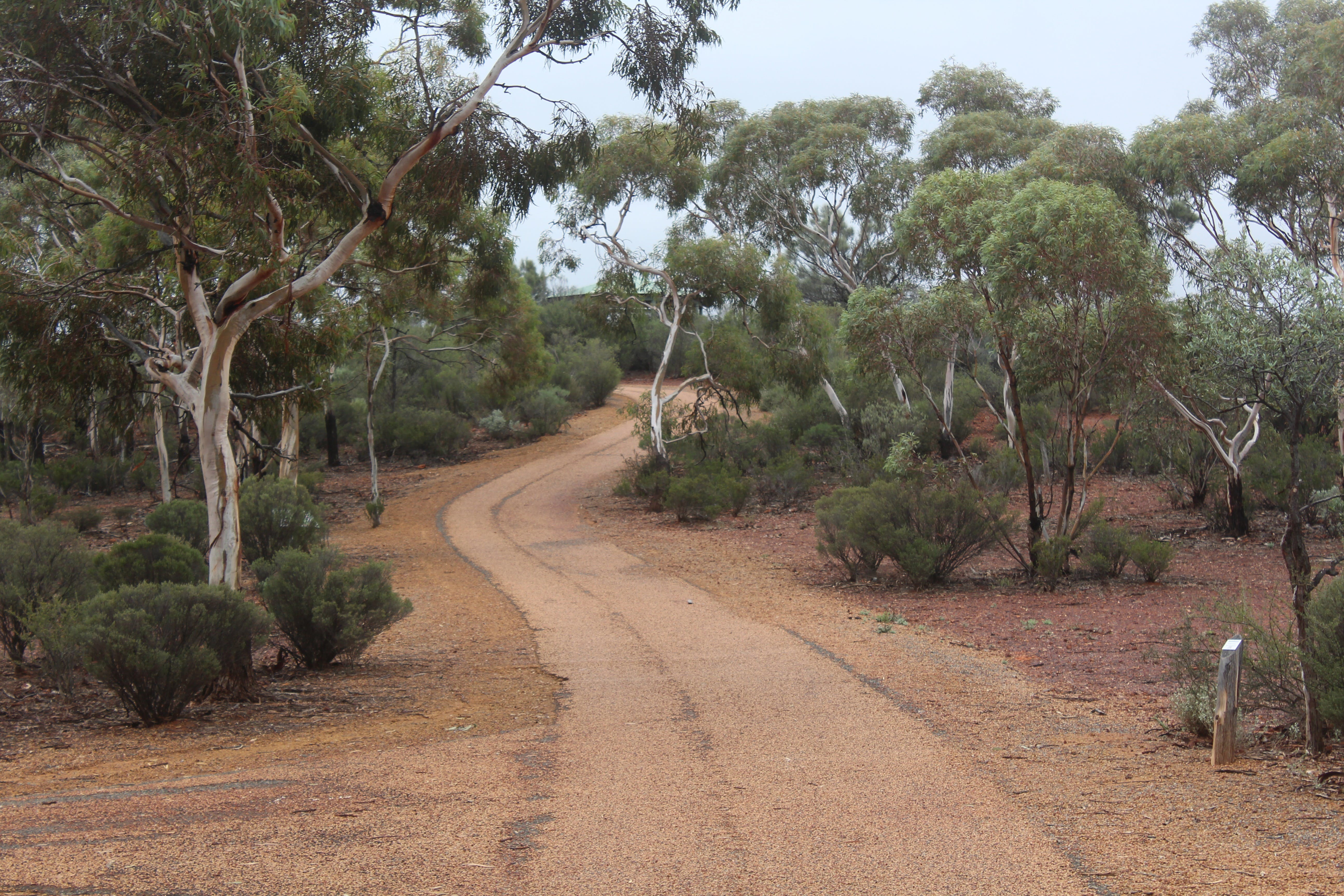 Karlkurla Bushland Park | Australia's Golden Outback