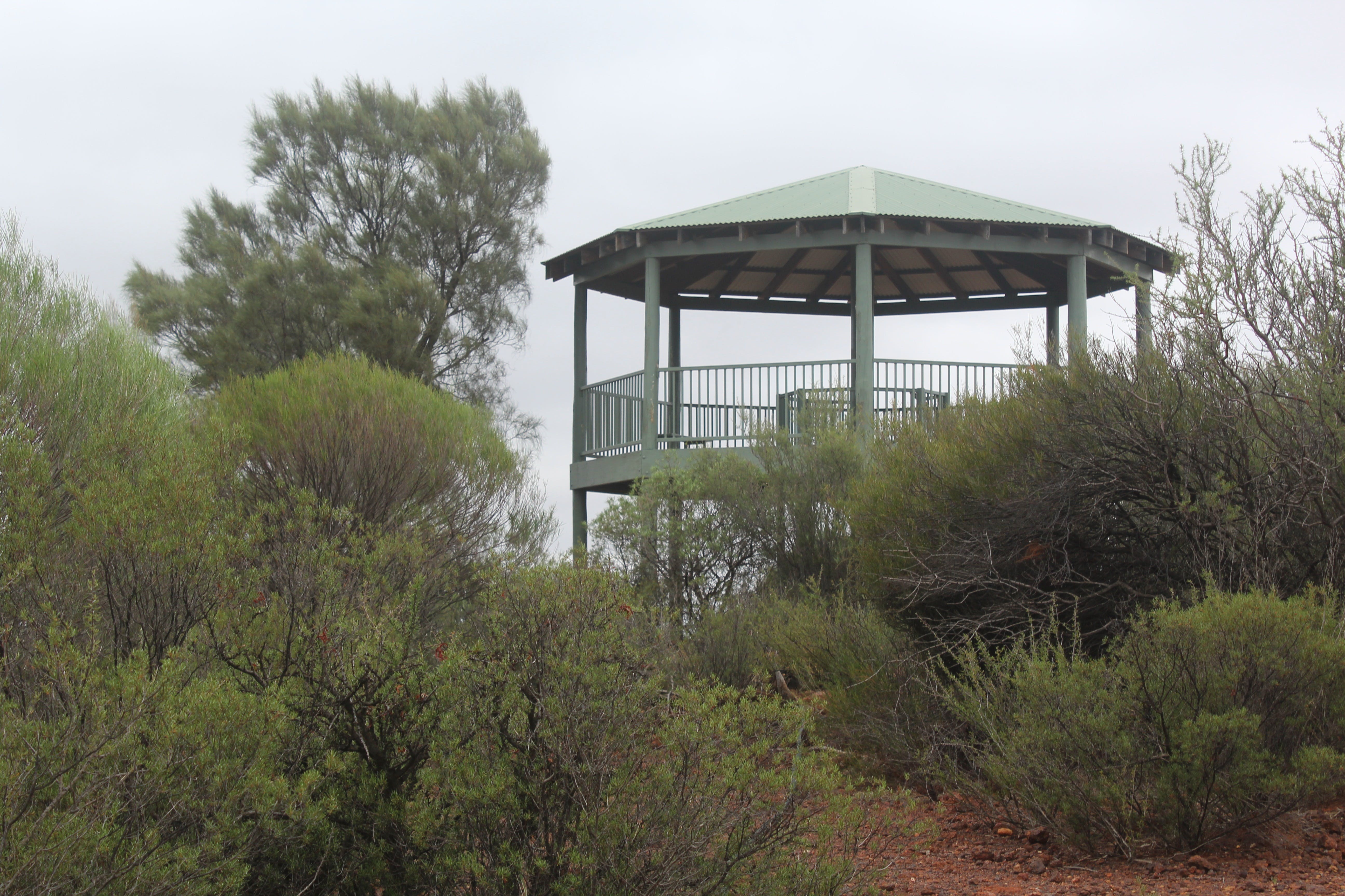Karlkurla Bushland Park | Australia's Golden Outback