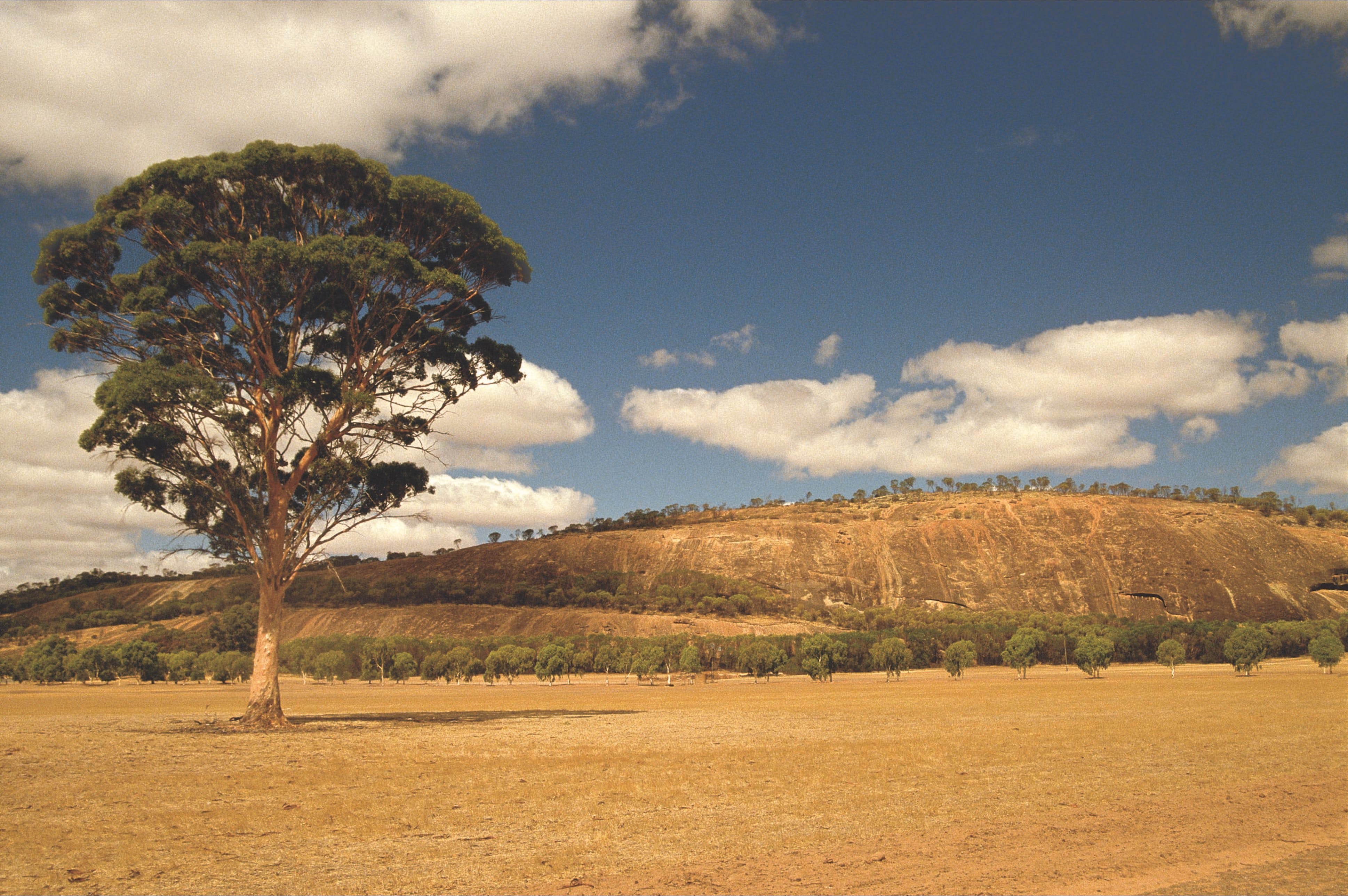 Quairading | Australia's Golden Outback